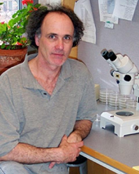 Genetics M.S. | Molecular, Cellular, and Biomedical Sciences